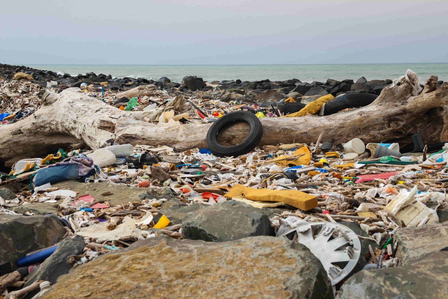 Waste Management, Best Practices of Sustainability › Evreka