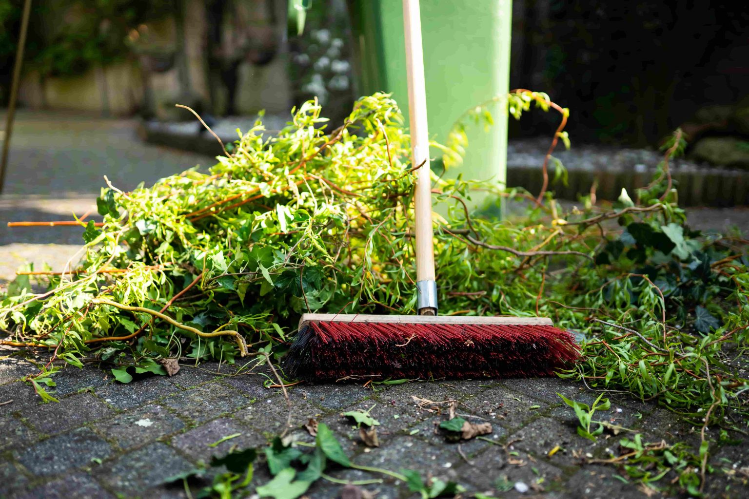 Why Waste Segregation Is More Important Than You Think