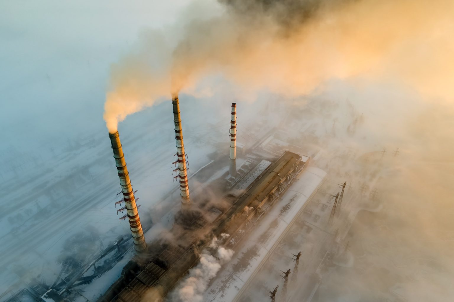 A Guide of Municipal Solid Waste Management Solutions for a Better ...