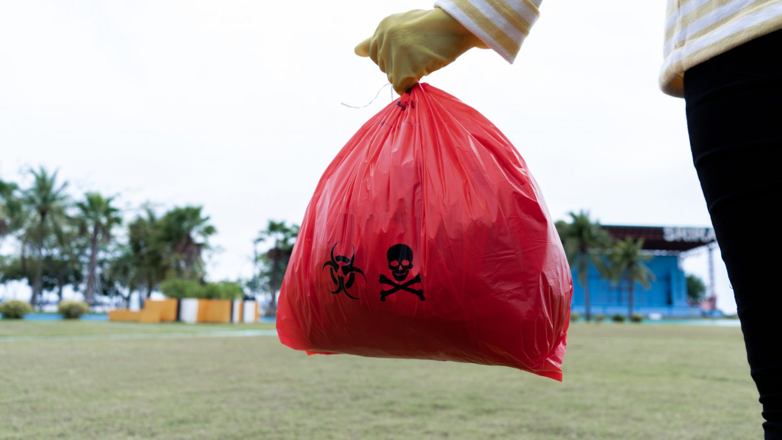 Why Waste Segregation Is More Important Than You Think